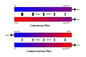 Counter Currents - LCC