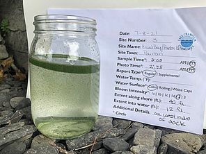 Instructions for Photographing Cyanobacteria Blooms & Taking Water ...