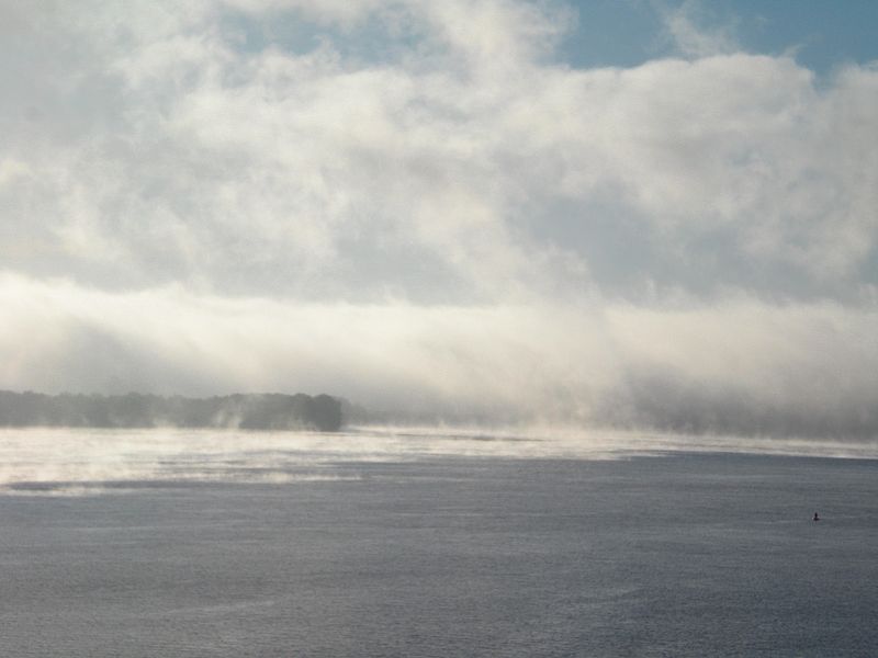 Natural History Note - Steam Fog - LCC