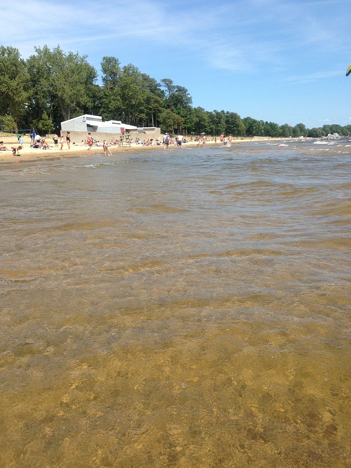 A Day at the Beach - LCC