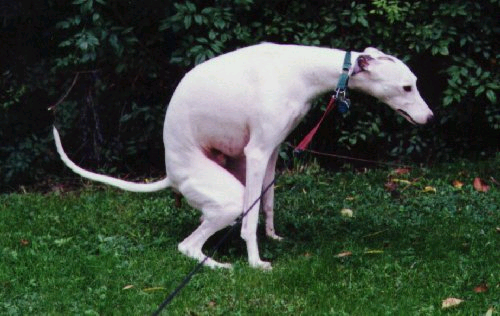 April 1 - April Stools Day - LCC