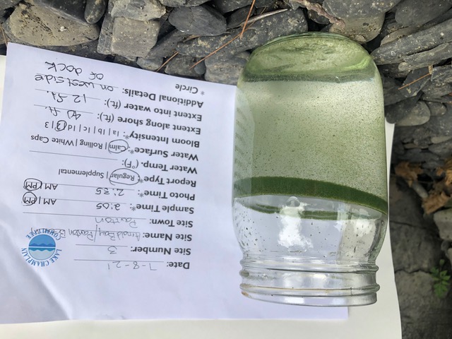 Instructions for Photographing Cyanobacteria Blooms & Taking Water ...