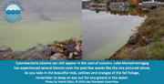 The Lake Champlain Committee - Working for a healthy, accessible Lake ...