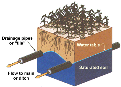 Tile Drainage System